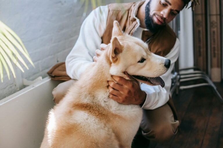 Top 14 Worst Dog Breeds, According to Data - Cats and Dogs Today