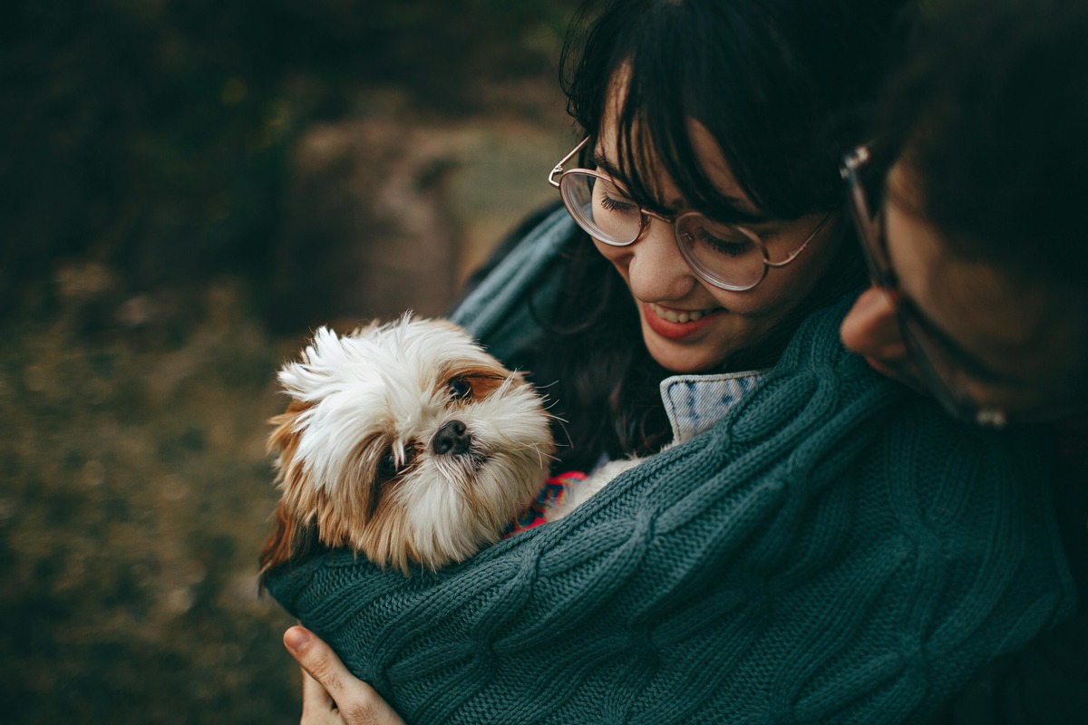 Reasons Why Dogs Are More Beneficial Than Cats - Cats and Dogs Today